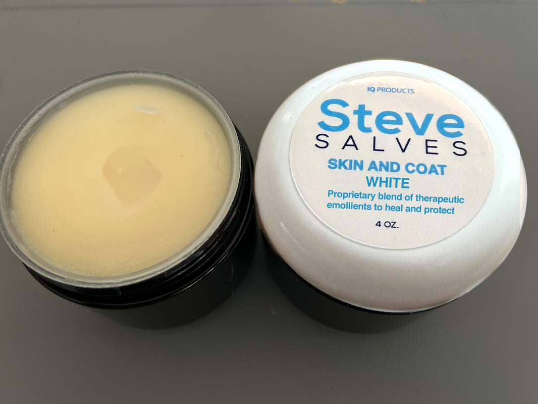 Steve’s Salves – Steves Salves